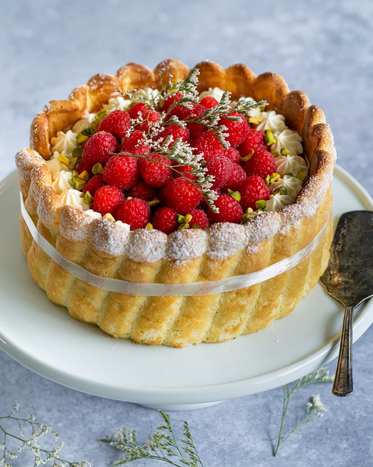 French Raspberry Charlotte Cake - Between2Kitchens